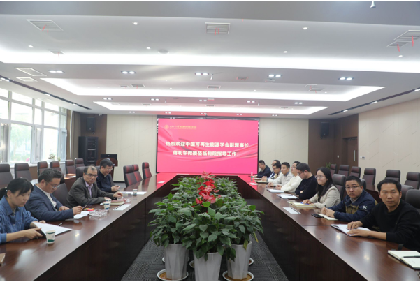 Professor Lijun Jiang, Vice chairman of China_The 19th China Renewable ...